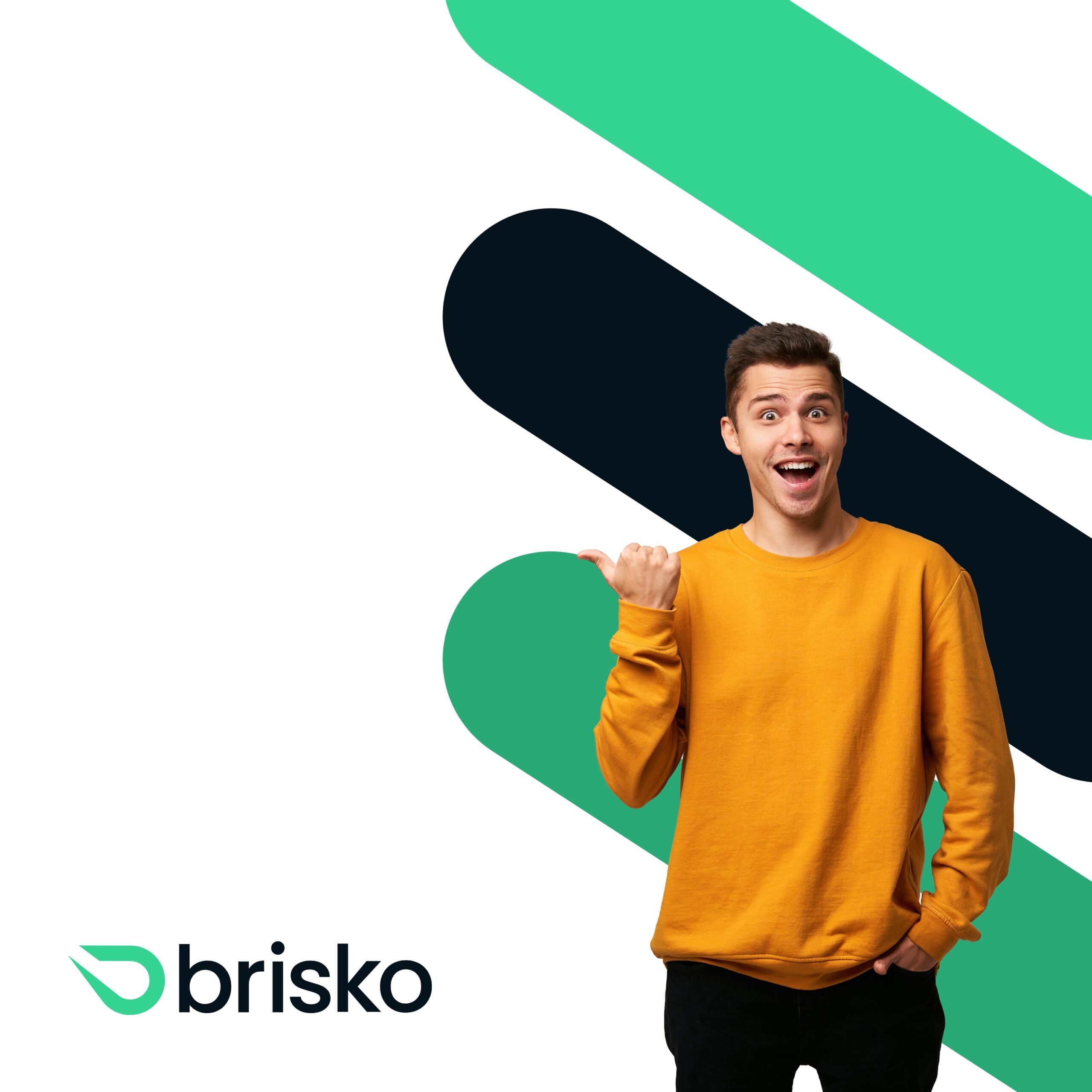 BRISKO - Trusted Logistics